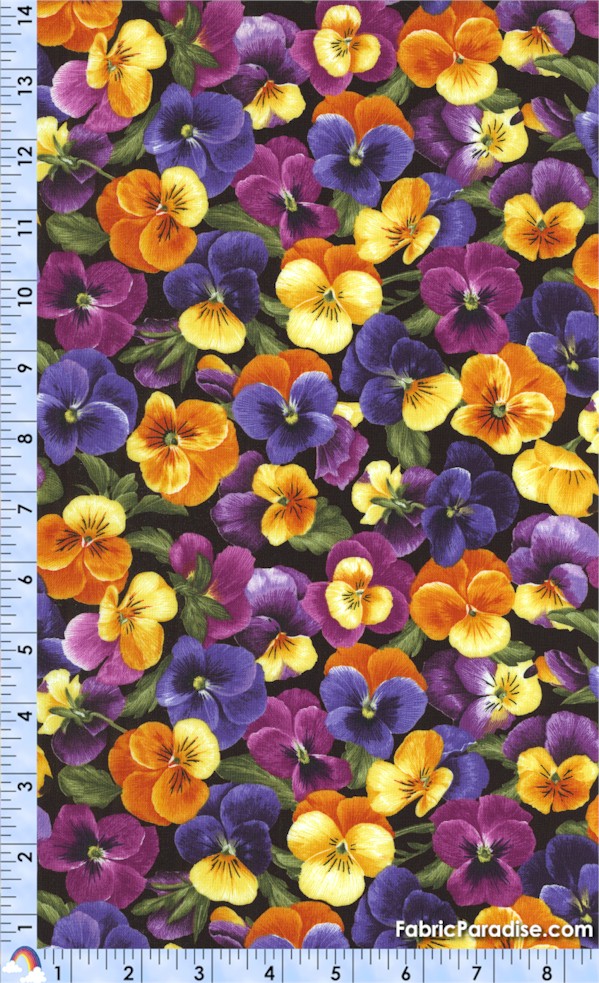 Flowerhouse: Brightly So - Packed Pansies on Black by Debbie Beaves ...